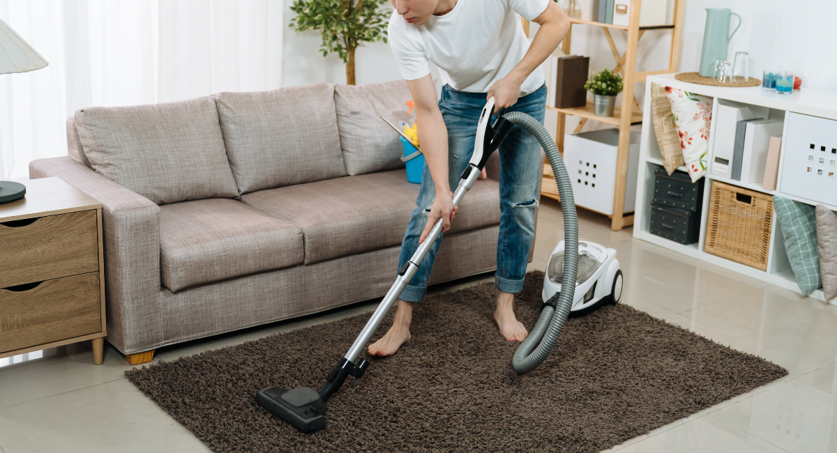 The Ultimate Guide to Carpet Dry Cleaning: Everything You Need to Know ...