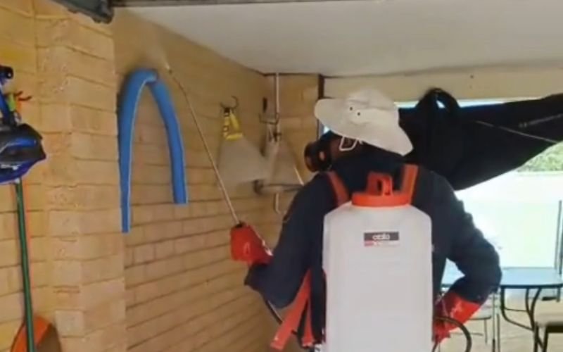 Pest Control Perth WA | Termite Treatment Perth